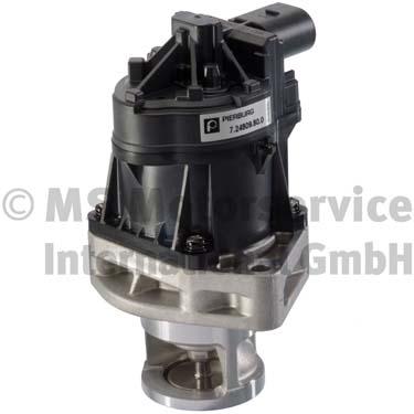 EGR Valve - 7.24809.80.0 PIERBURG - 49002023F, 673001269, 68150053AA | EYL